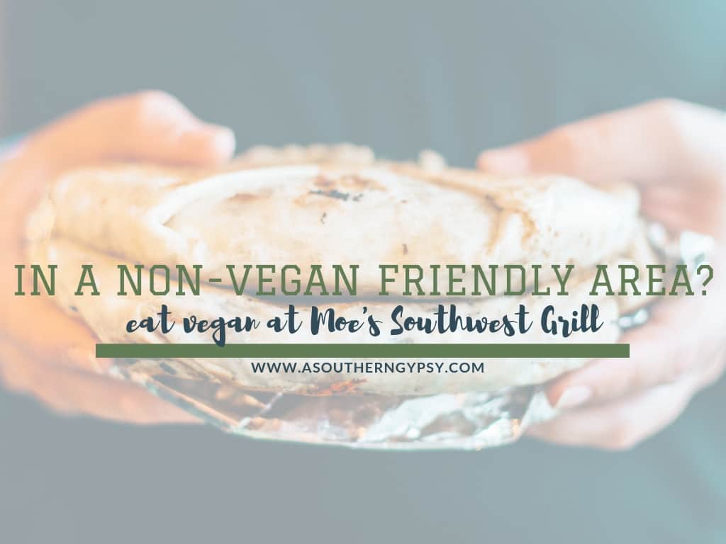17 Vegan Jokes That Are Definitely Not Cheesy • Wild Hearted