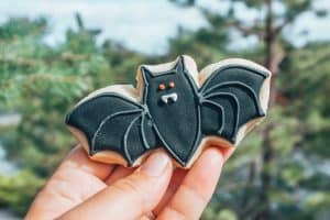 Vegan Restaurants Grand Rapids | Vegan Guide to Grand Rapids, MI