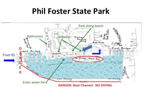 Blue Heron Bridge Scuba | What to Know & What Species You'll See