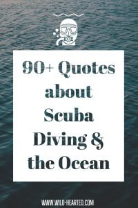90+ Scuba Diving Quotes That Put Your Love of the Ocean into Words