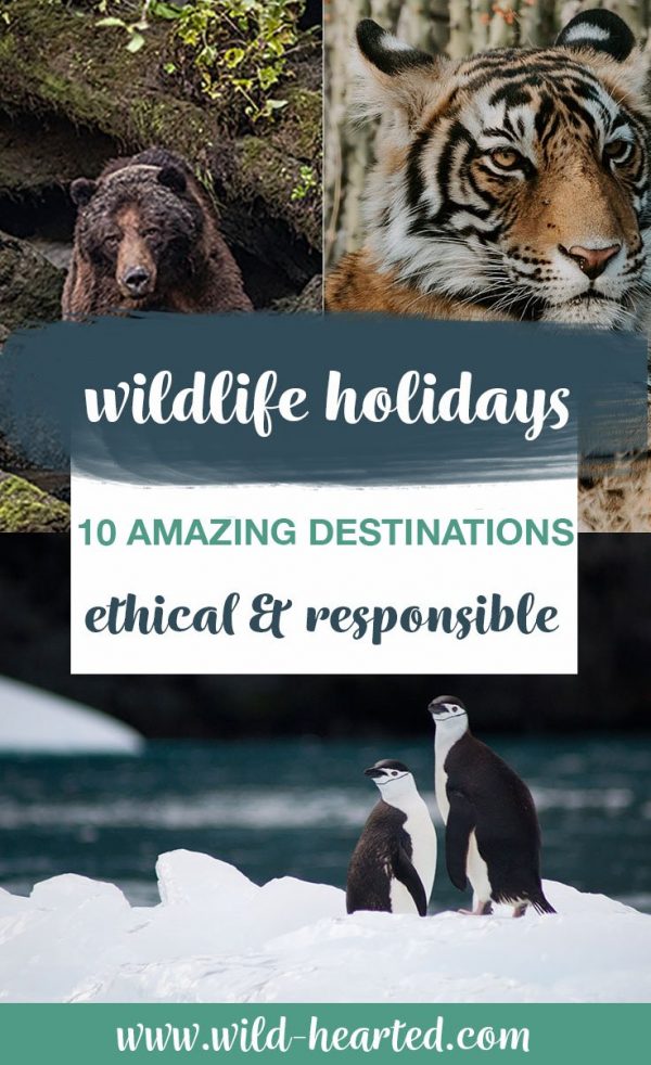 Wildlife Holidays | 10 Best Places to Visit for Ethical Wildlife ...