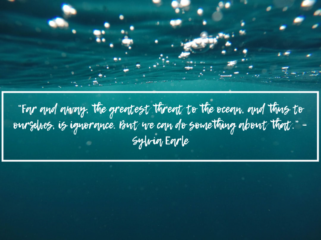 90+ Scuba Diving Quotes That Put Your Love of the Ocean into Words