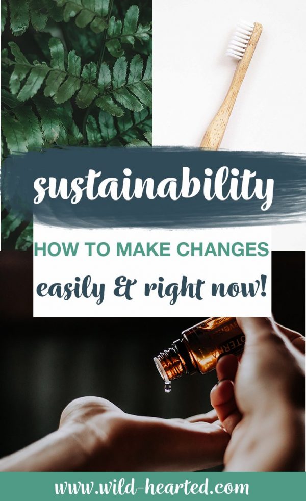 How to Be More Sustainable in 10 Easy and Managable Steps