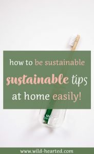 How to Be More Sustainable in 10 Easy and Managable Steps
