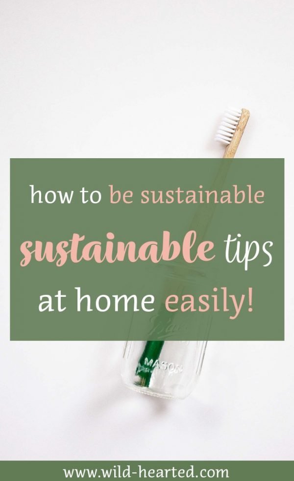 How to Be More Sustainable in 10 Easy and Managable Steps