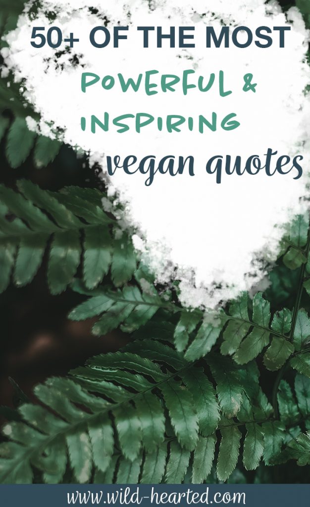50+ Powerful Vegan Quotes Ready to Inspire and Invoke Change • Wild Hearted