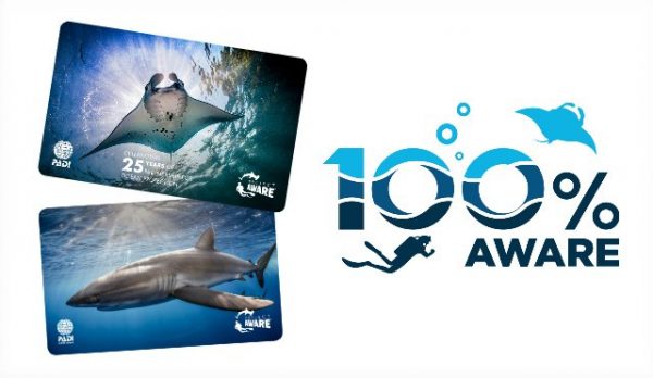 The Best Shark Gifts for the Shark Enthusiasts • Wild Hearted