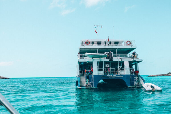 Bahamas Liveaboard: All Star Liveaboards' Aqua Cat Review