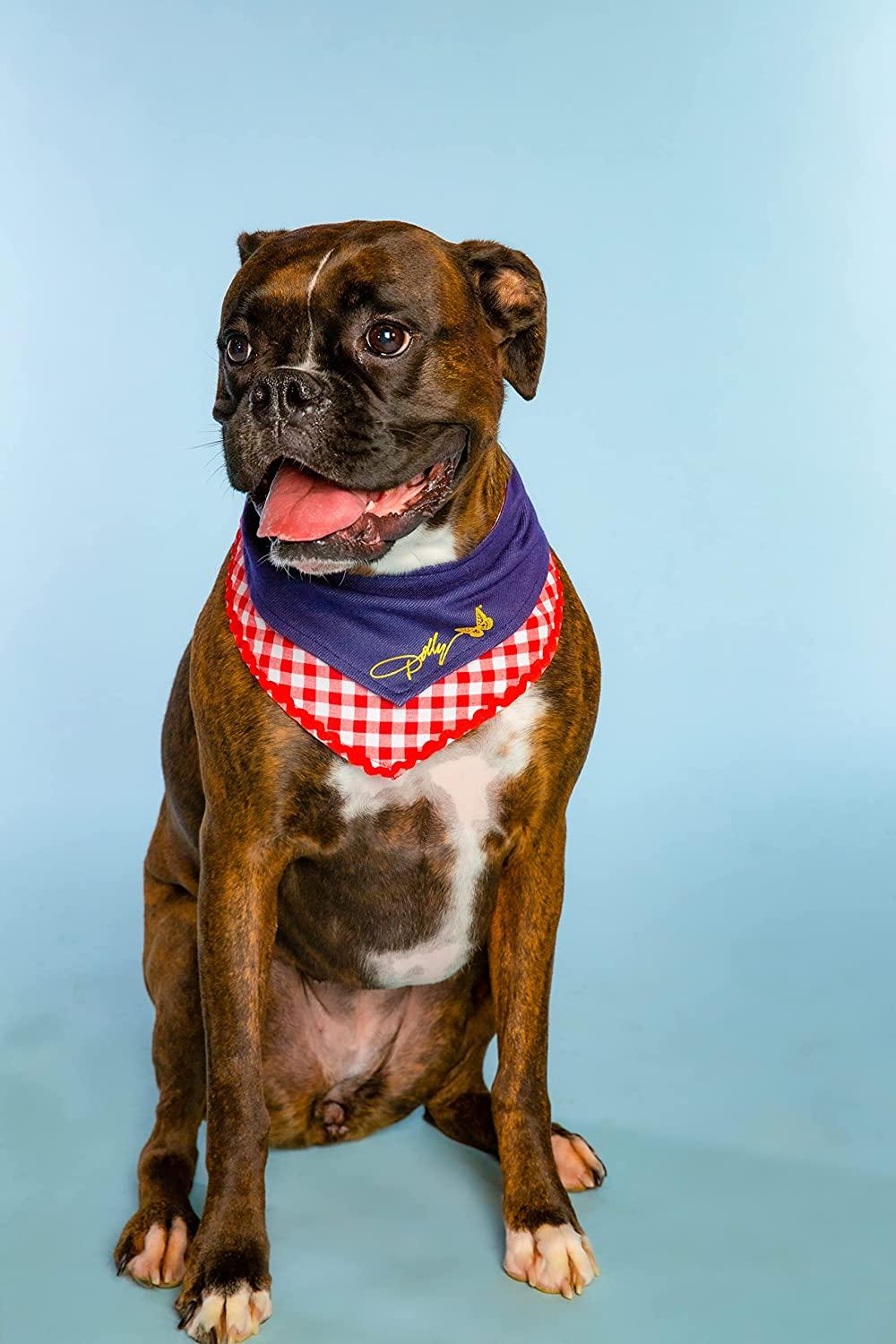 22 Dolly Parton Gifts That Are Cute, Inspirational, And Practical ...