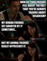 31 Vegan Memes That Are Highly Relatable • Wild Hearted