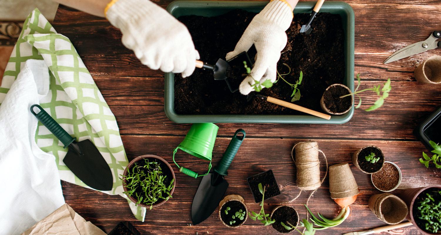 4 New Hobbies To Try That Won't Put Strain On The Environment