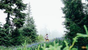 75 Epic Adventure Quotes To Inspire Exploration • Wild Hearted