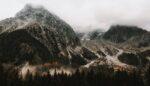 80 Nature Quotes To Bring You Down To Earth • Wild Hearted